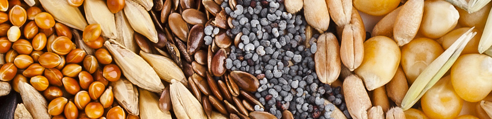 For Educators | Think&EatGreen@School